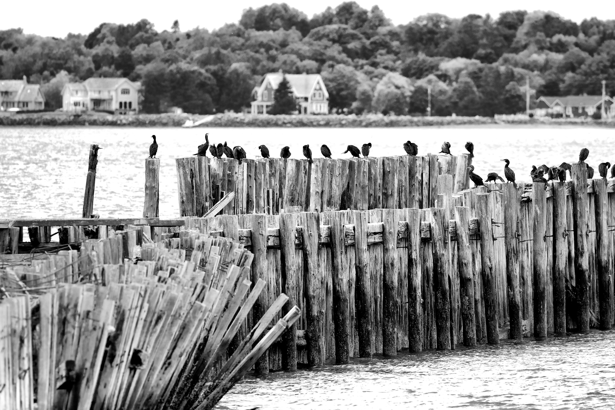 A Perfect Summer Day by Milton P. Ehrlich – POETRY and PLACES